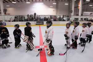 Youth Hockey Leagues - Recreational Leagues - Irvine Inline